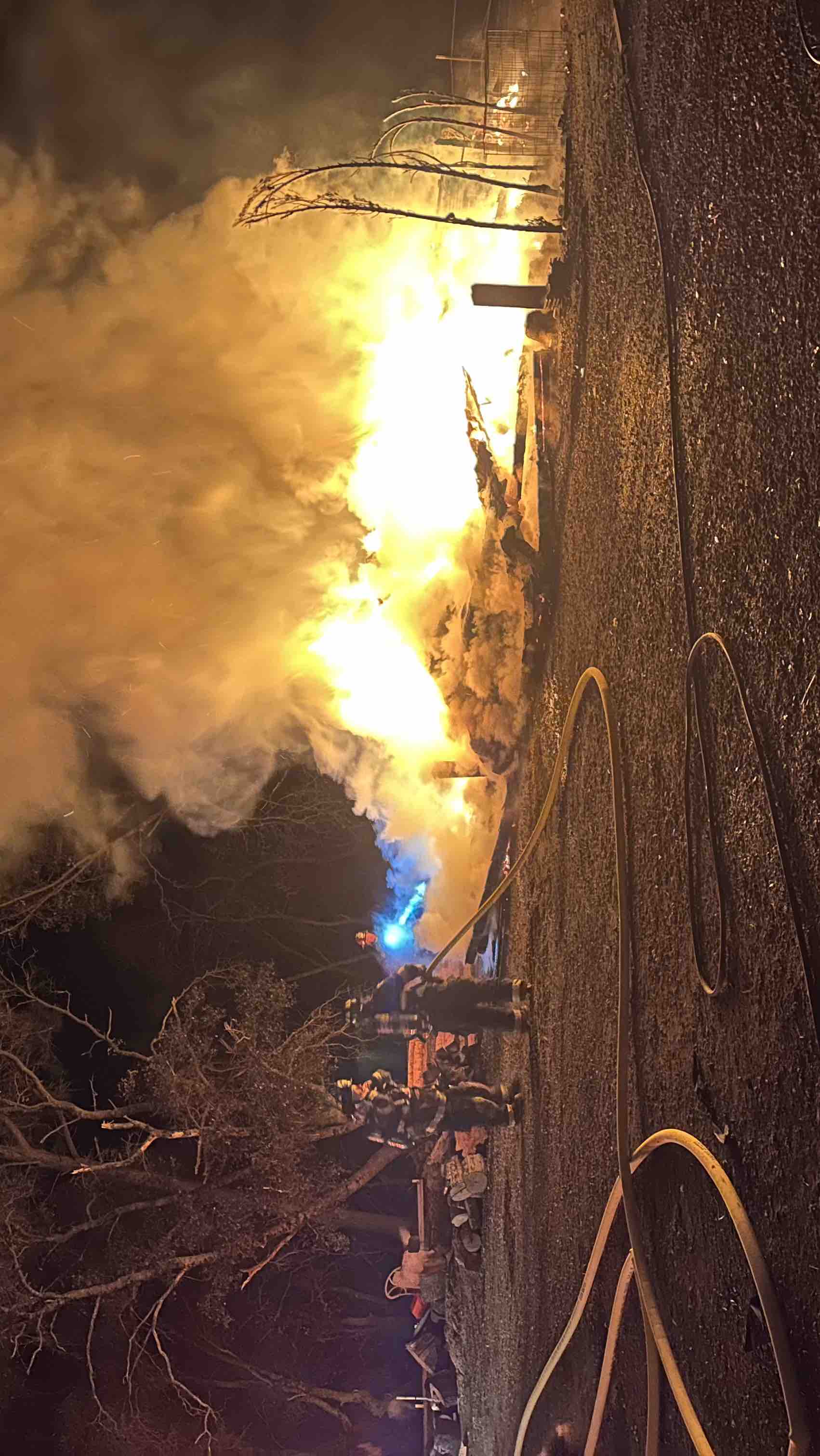 Fundraiser by Gerardo Perez sanchez : Help JP Tree Service Recover from Devastating Fire