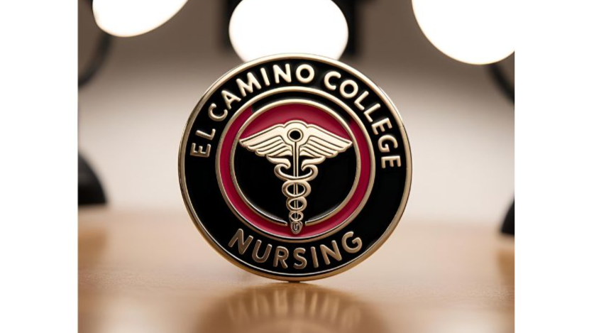 Fundraiser by Henna Jivraj : Support El Camino Nursing Class Pinning ...