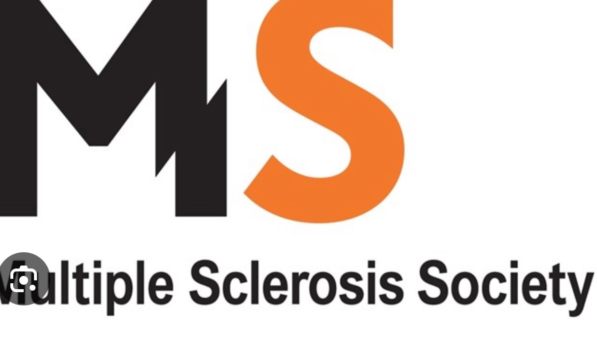 Fundraiser by Julie Nolan : Multiple sclerosis