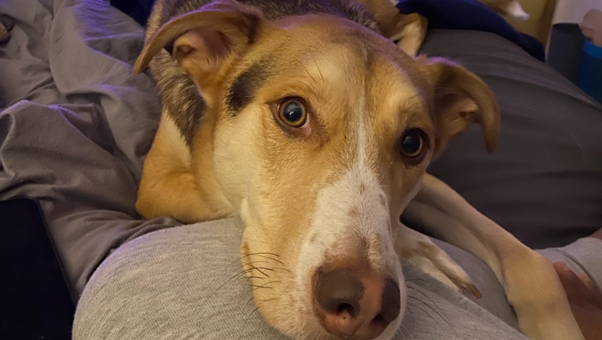 Fundraiser by Martin Butts : Extend Our Stay: Keep Us from the Shelter