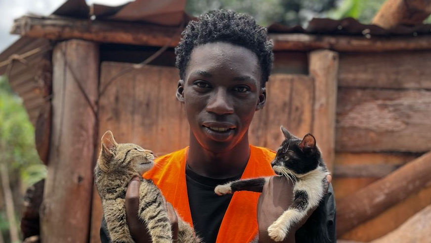 Fundraiser by amy strickland : Cats in Uganda