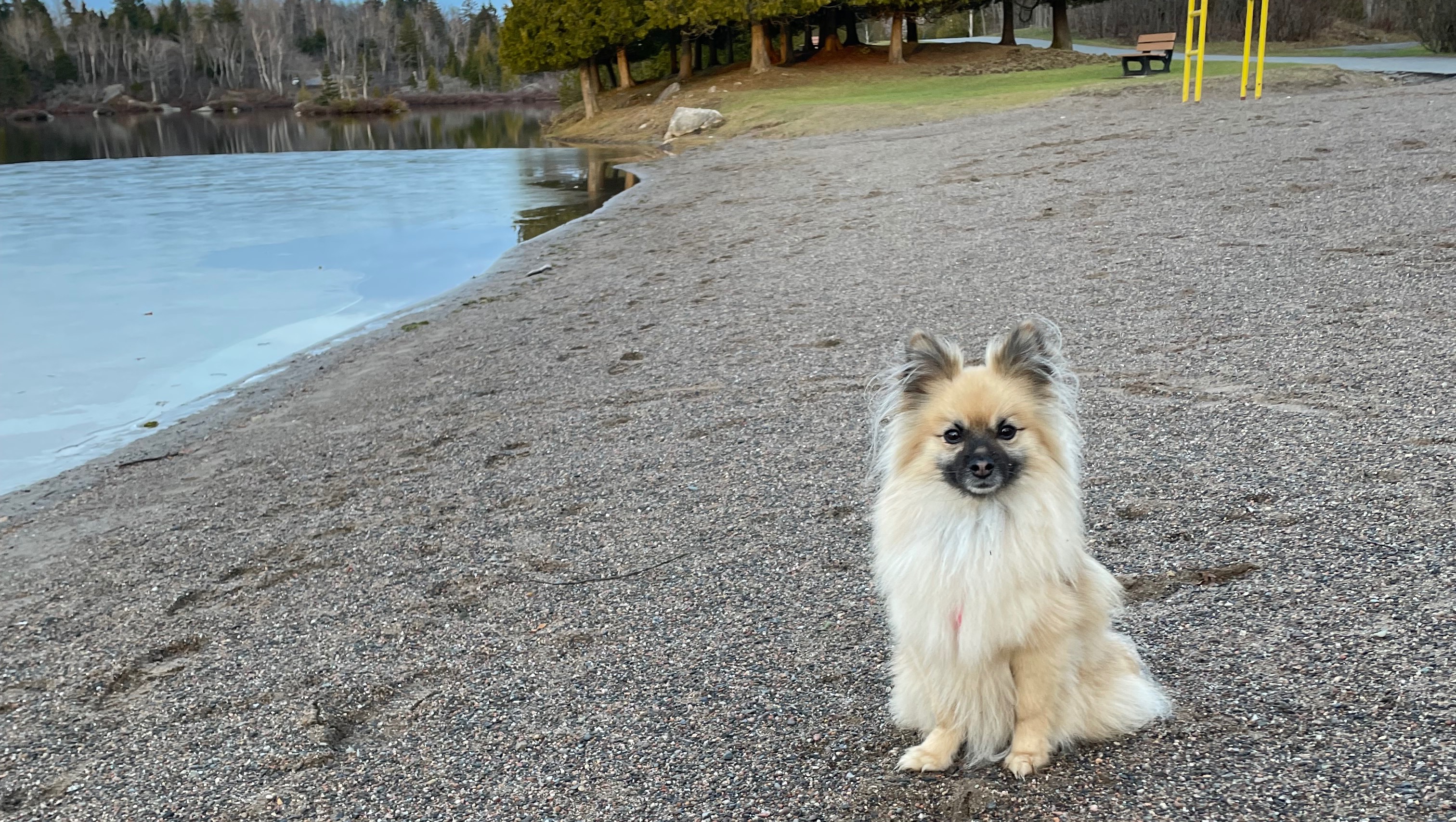 Fundraiser by Jessica Laskey : Ms.Frizzles recovery