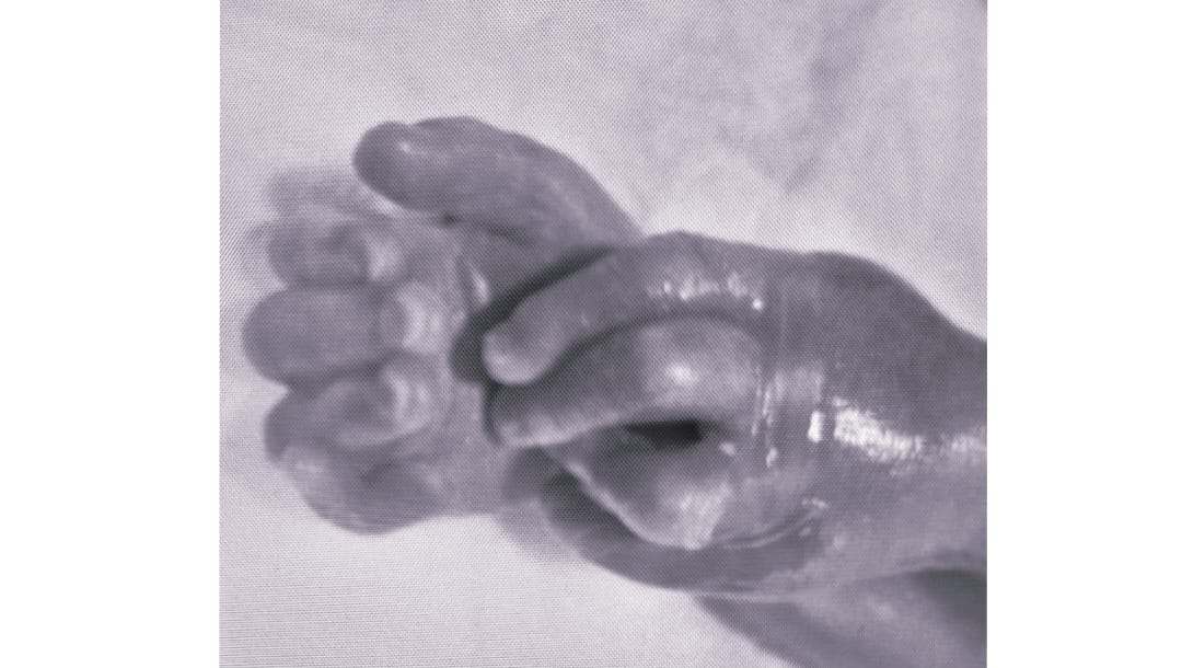 Fundraiser by Ellie-Mae Price : Archie-Jay Freddie Ian Eccles