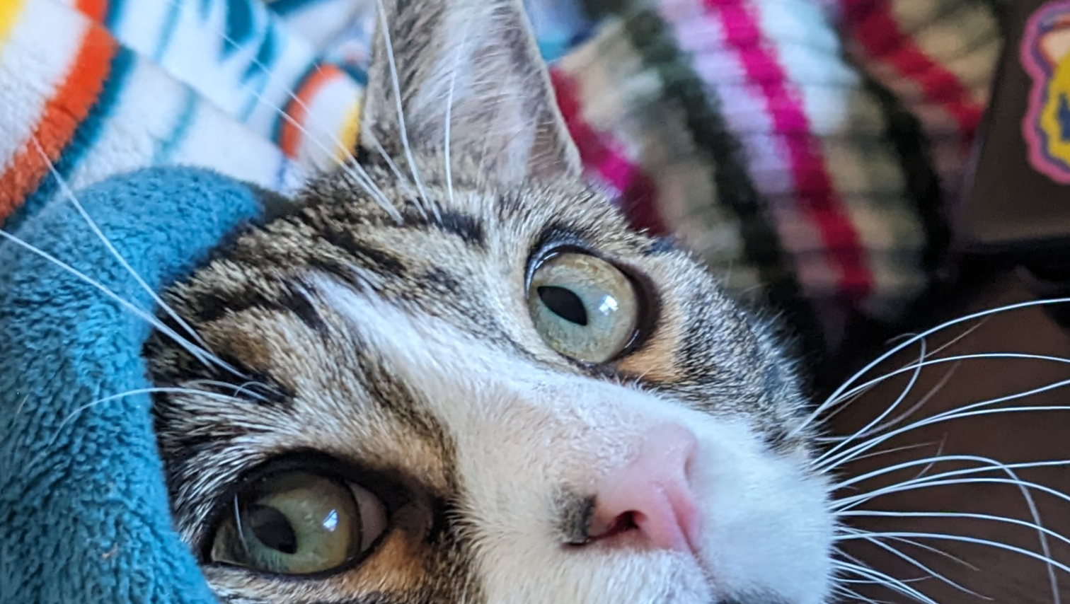 Fundraiser by Ashley Lorah : Support Ash's Mental Health Crisis