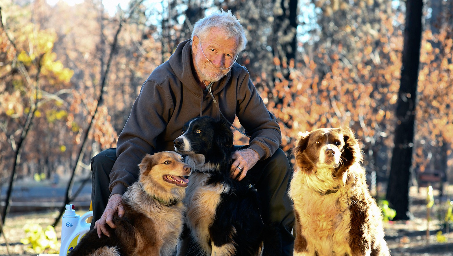 Fundraiser by Aliya Traficante : Support Mark's Lung Transplant Journey