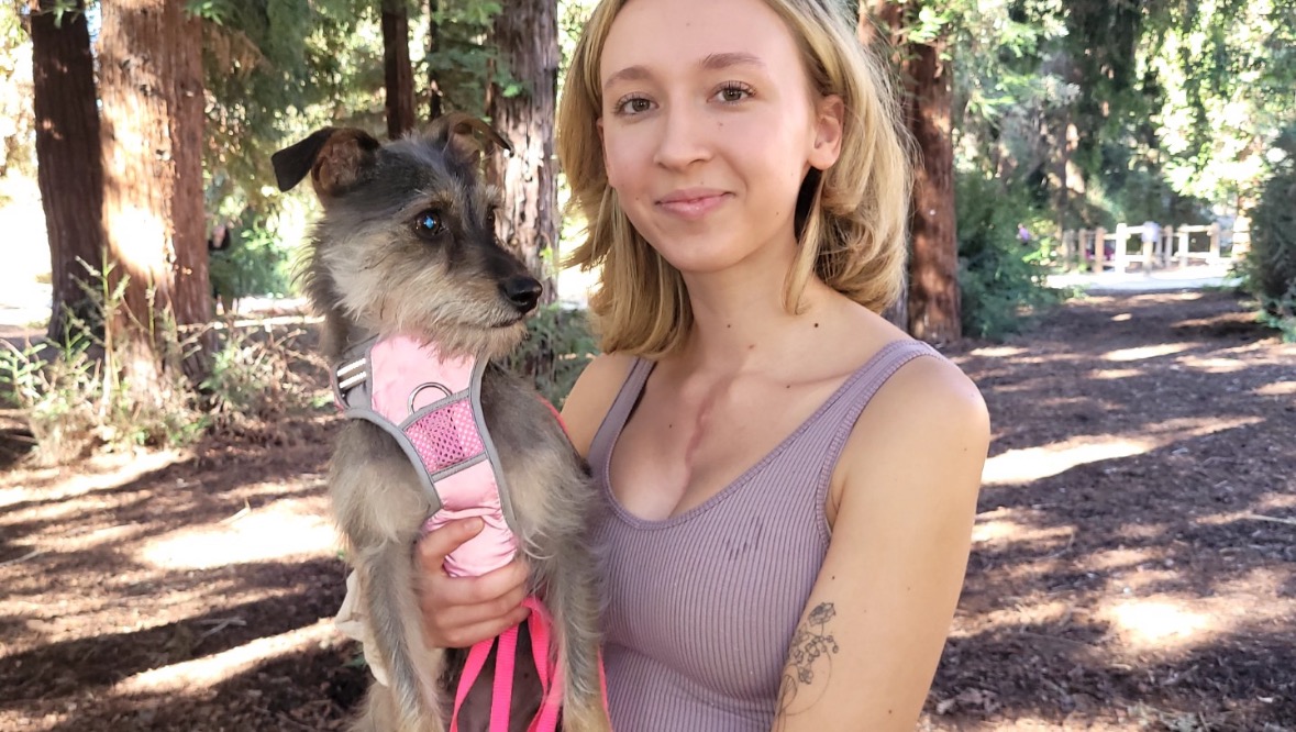 Fundraiser by Acacia Fellner : Support Muffin's Urgent Surgery