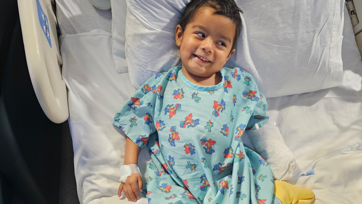 Fundraiser for Emilia Padilla by Cindy Studdert : Support Milo's Healing Journey