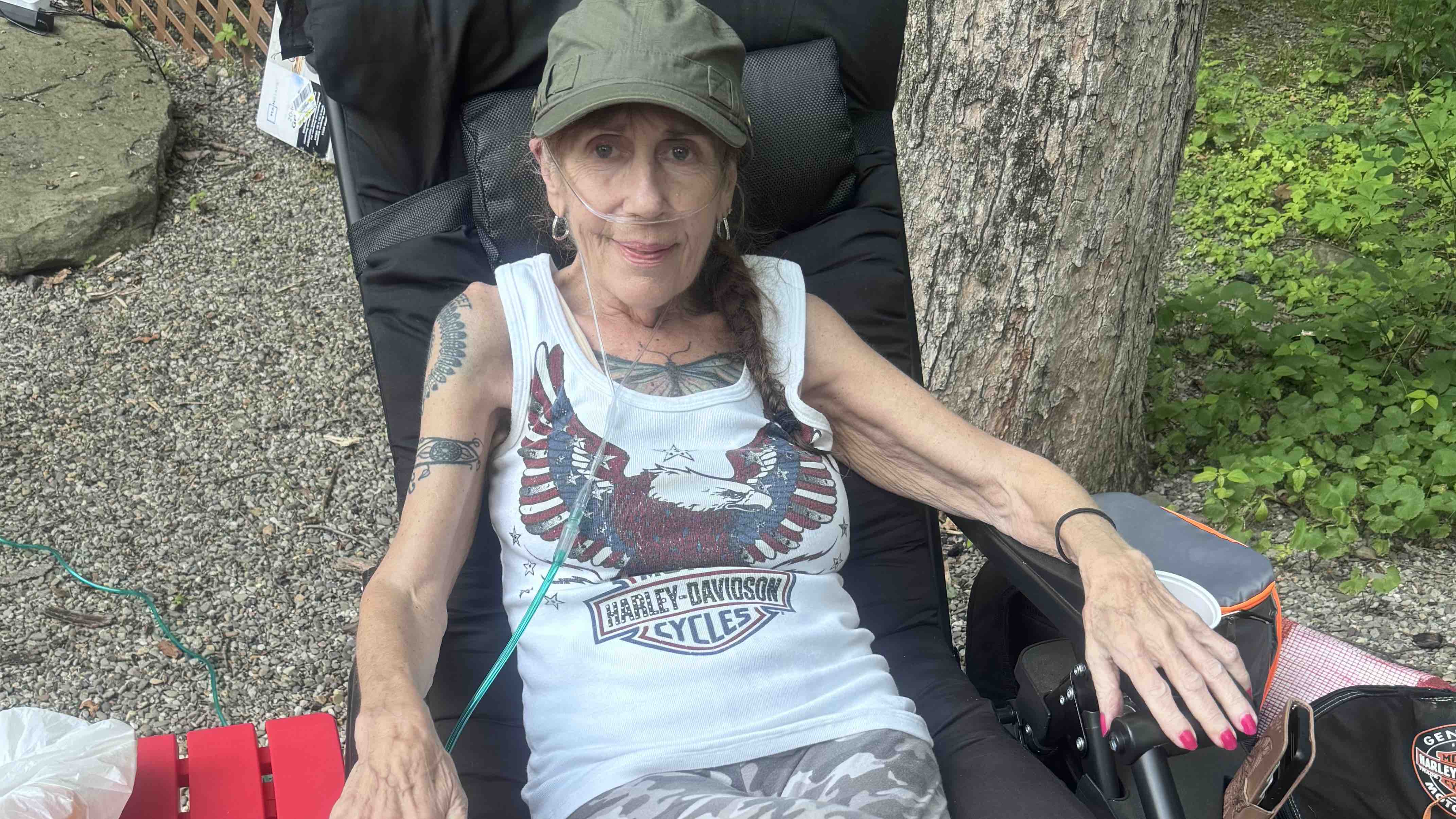 Fundraiser by Lauren Fletcher : Help Support Nora in Her Final Journey