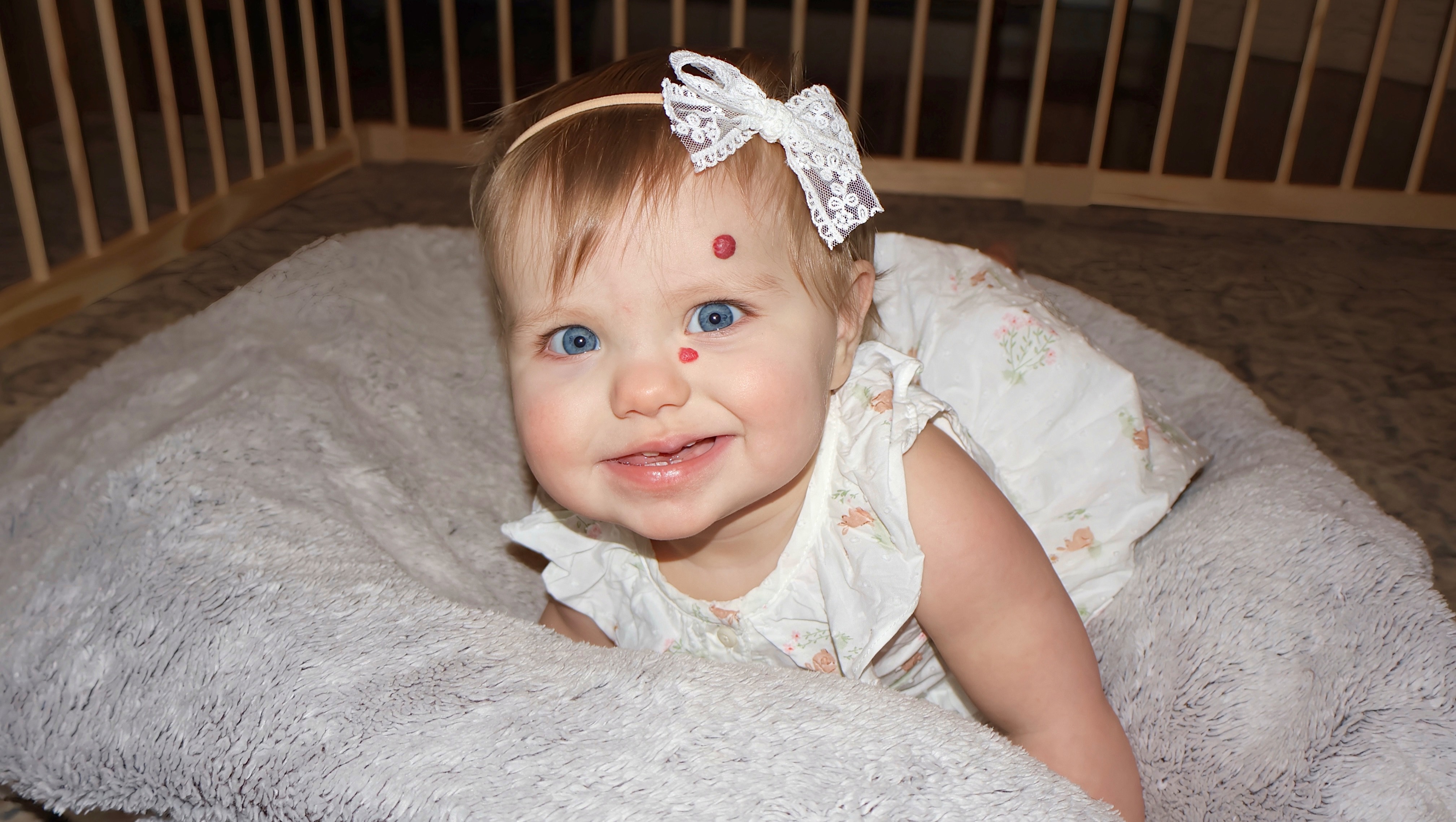Fundraiser by Allison Scarbrough : Help Setta Walk Pain-Free: Support ...