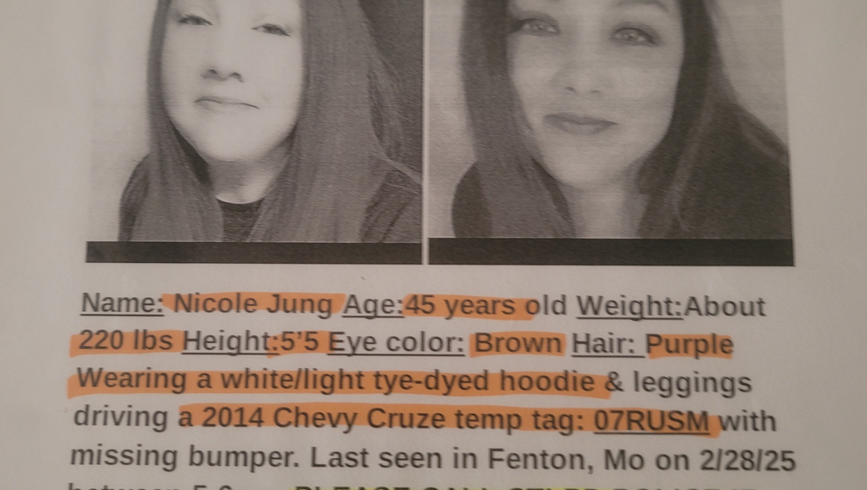 Fundraiser by Jason Jung : Bring Nicole Jung Home: Support Her Family