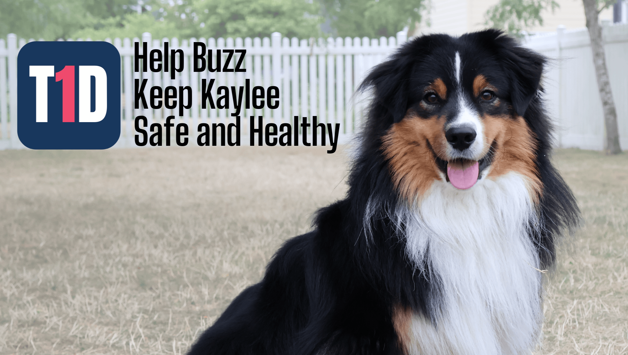 Fundraiser for Charles Bathel by Jessica Bathel : Help Train Buzz to ...