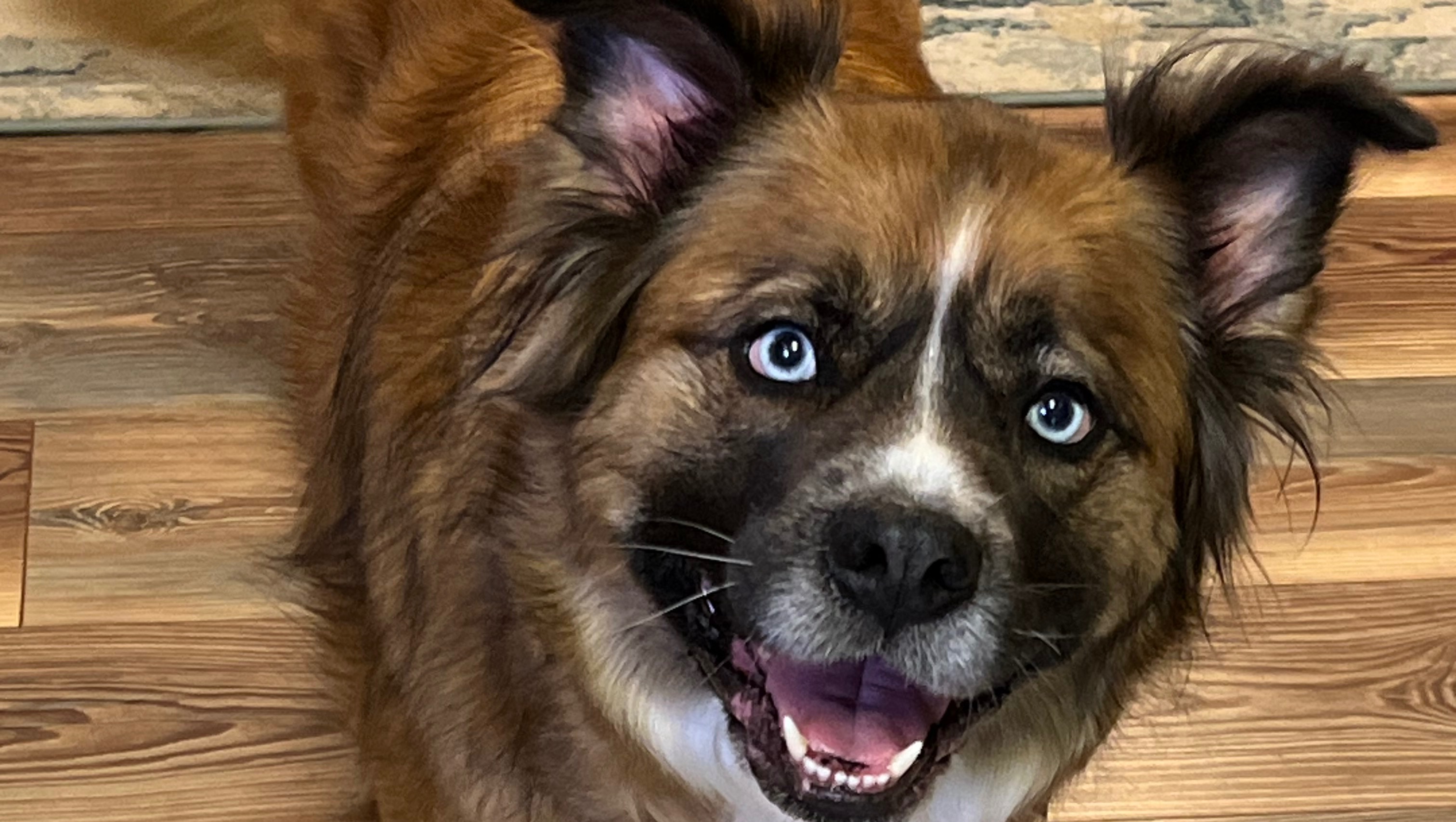 Fundraiser by Michael Dudzinski : Sam's Painful Journey to Recovery