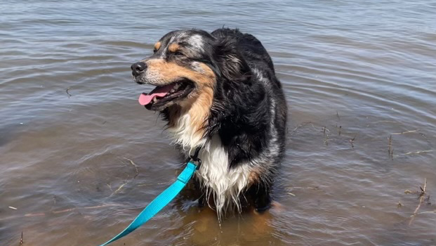 Fundraiser by Patrick Huffman : Prayers and help for Ellie Mae’s ...