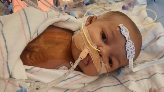 Fundraiser for Jasmine Meeks by Annika Wolters : Support Baby Kane's ...