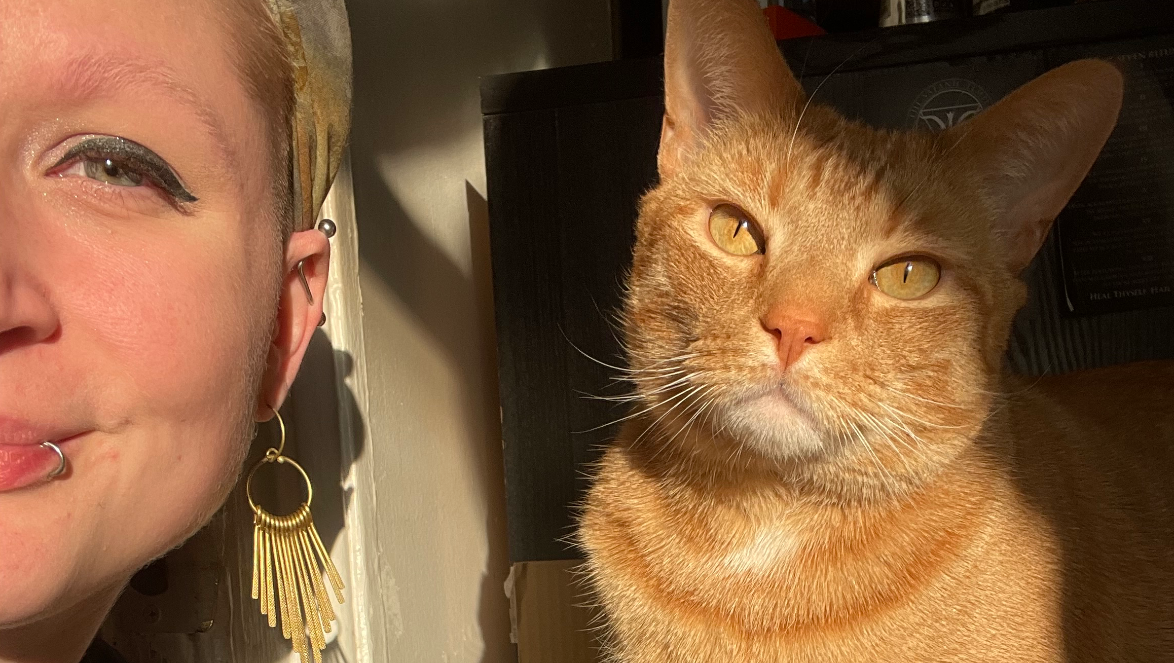 Fundraiser by Cass Marie : Support Cheddar's Journey to Recovery