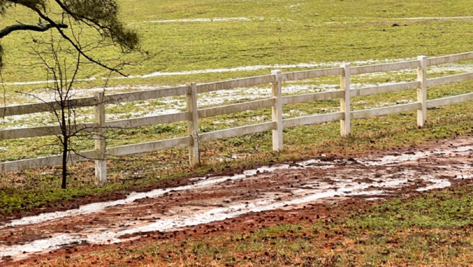 Fundraiser by Caitlin Gooch : Aid Needed for Flooded Farm Repairs
