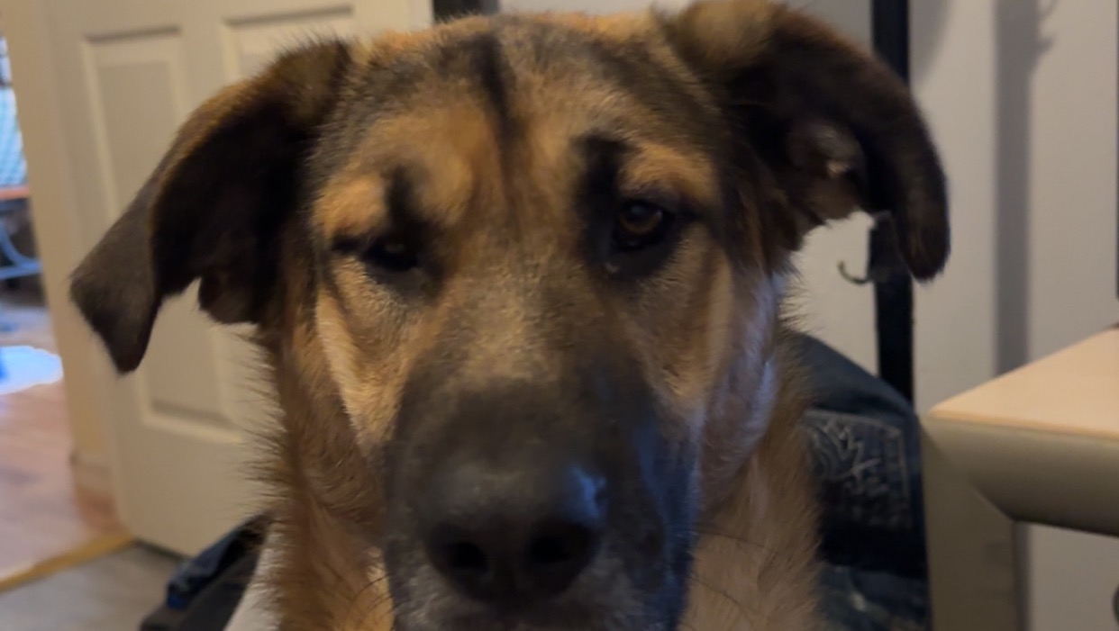 Fundraiser by eric childers : Slug Faces Medical Crisis: Your Help Counts