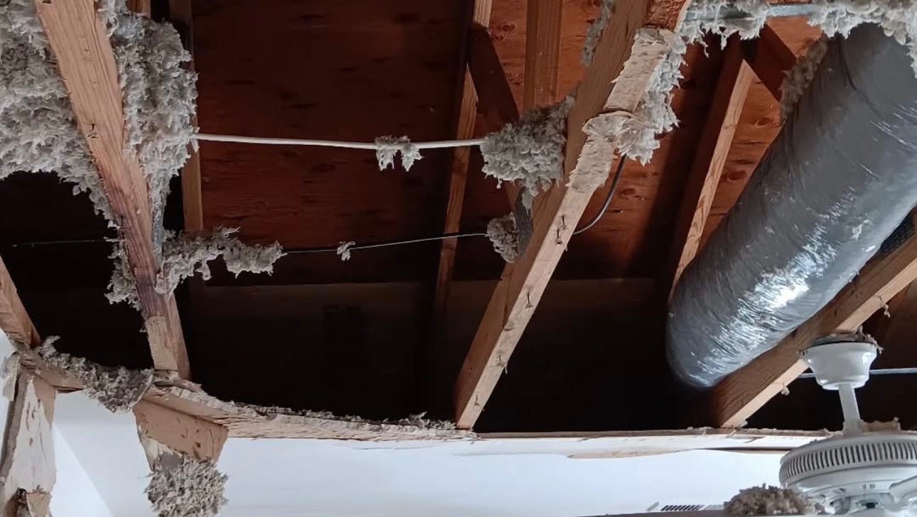 Fundraiser by Alexandra Minor : Support My Grandma After Tornado ...