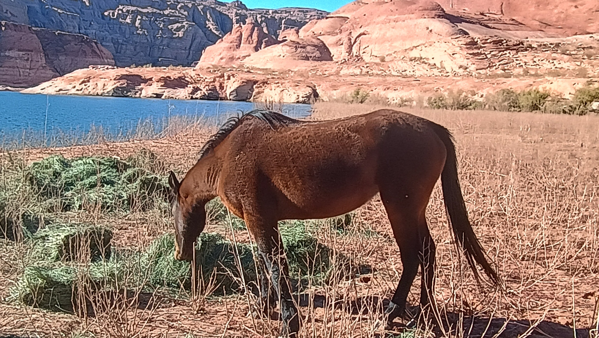 Fundraiser by Tanner Carpenter : Donate to Help Recoup The Cost of ...