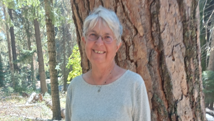 Fundraiser by finn norris-gray : Memorial Garden for Phyllis Norris