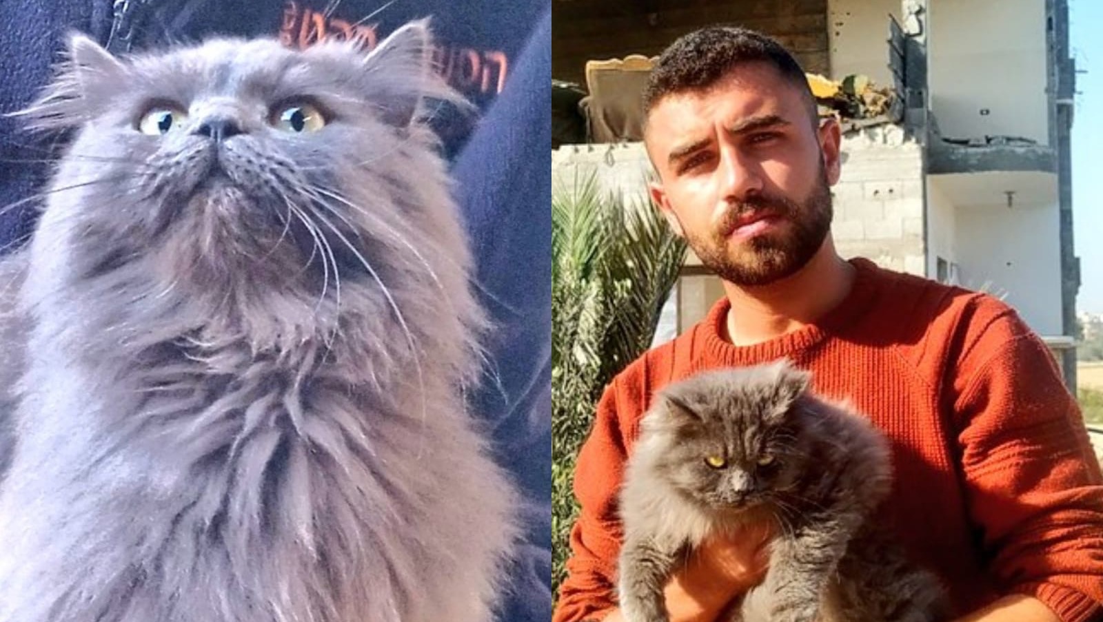 Fundraiser by Claire Alexander : The last chance to save Yousef, his ...