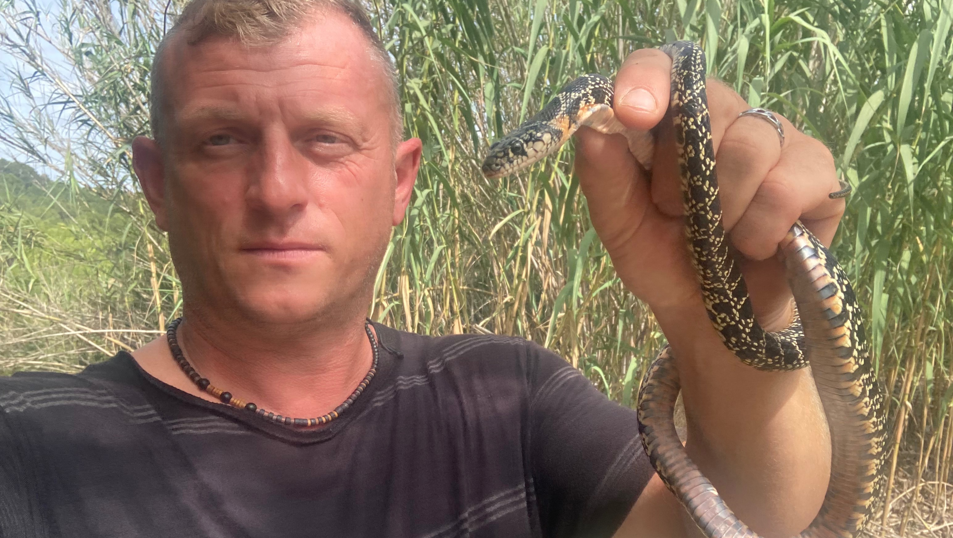 Fundraiser by Dean Gallagher : Free snake traps for vulnerable and ...