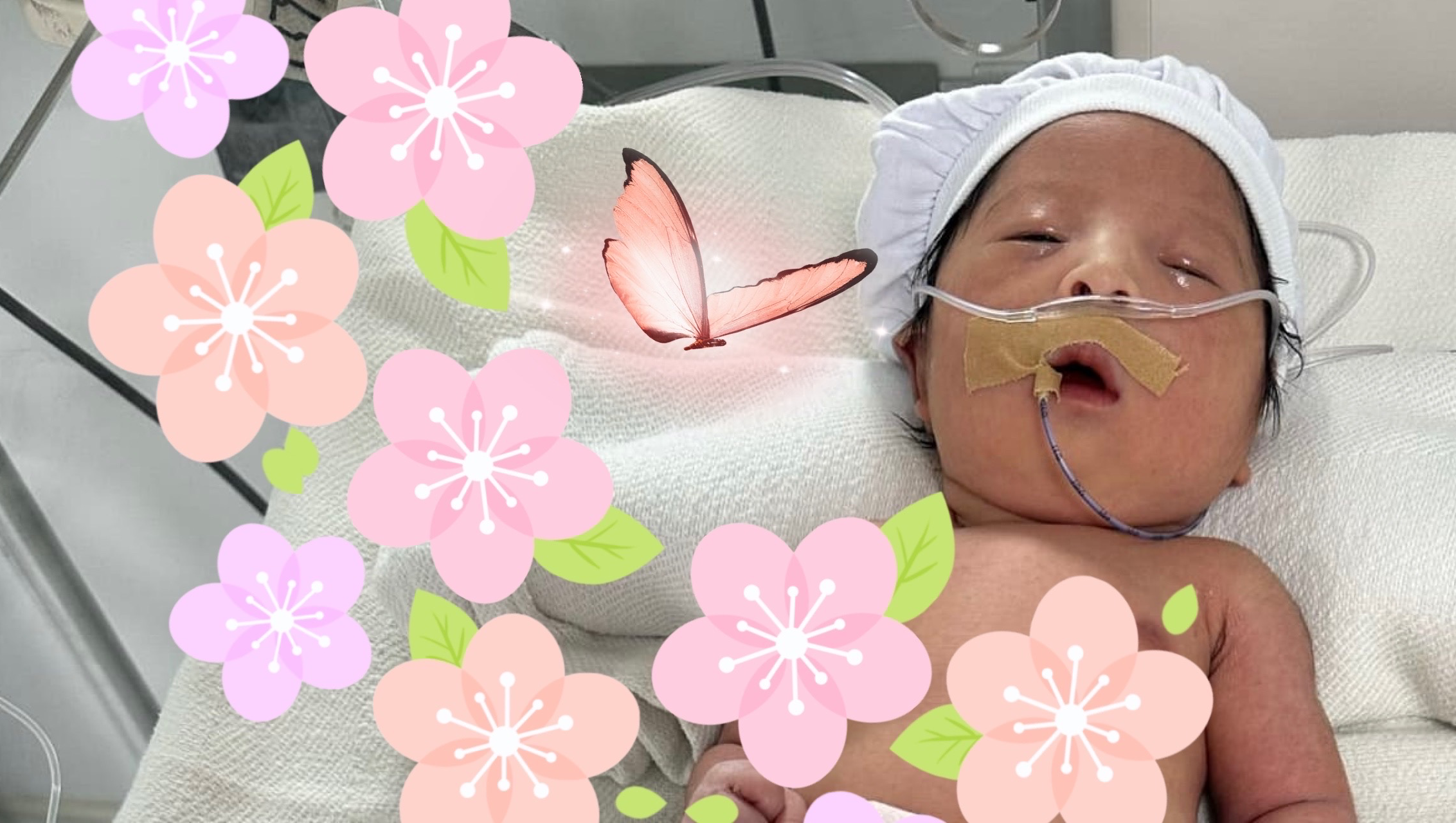Fundraiser by Catherine Velarde : Support for Baby Eve — A Journey of Hope