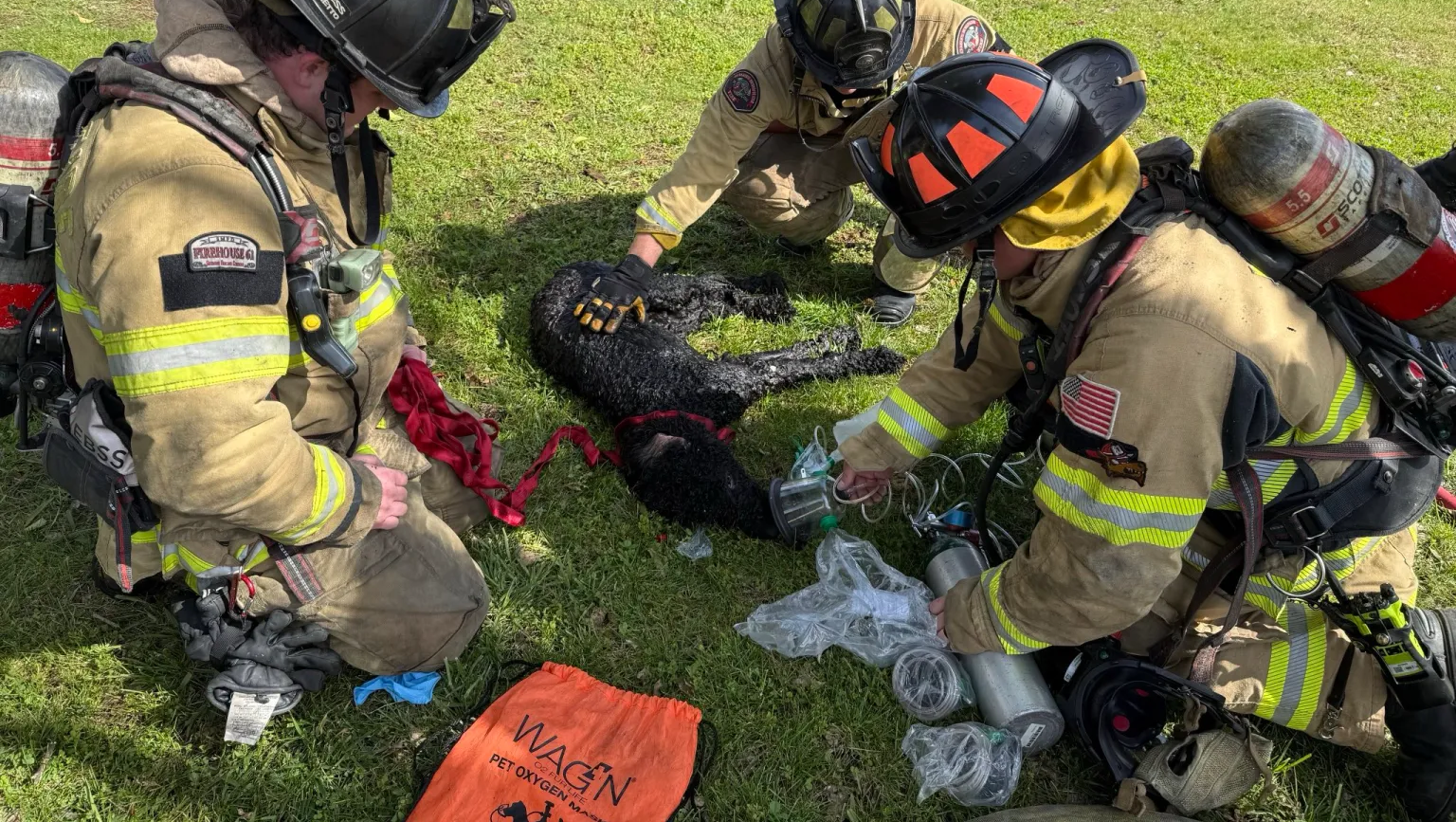 Fundraiser by Shianne Rios : Support Veronica's Family After Tragic Fire