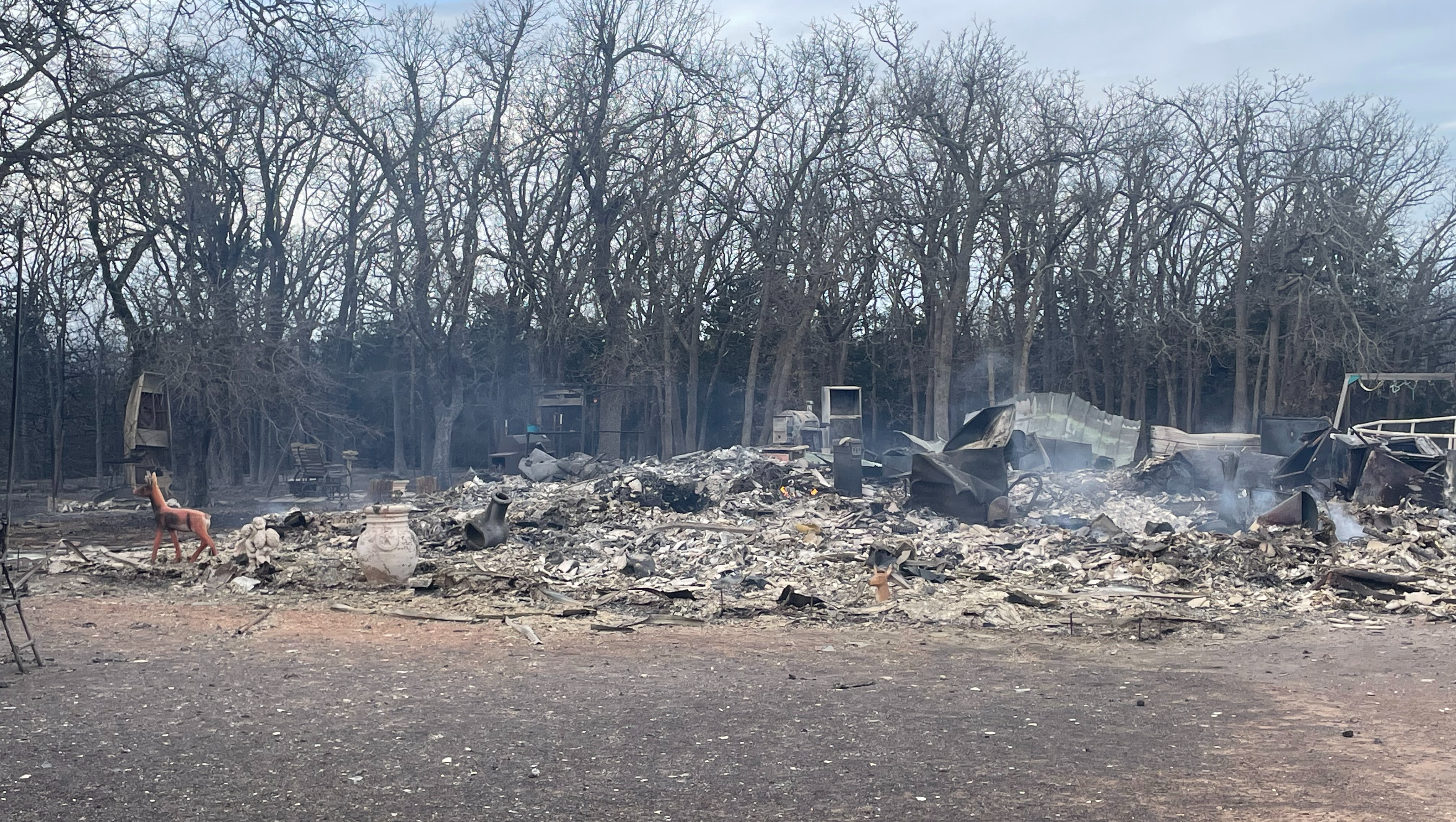 Fundraiser for Alisha Cook by David Smith : Support The Cook Family ...