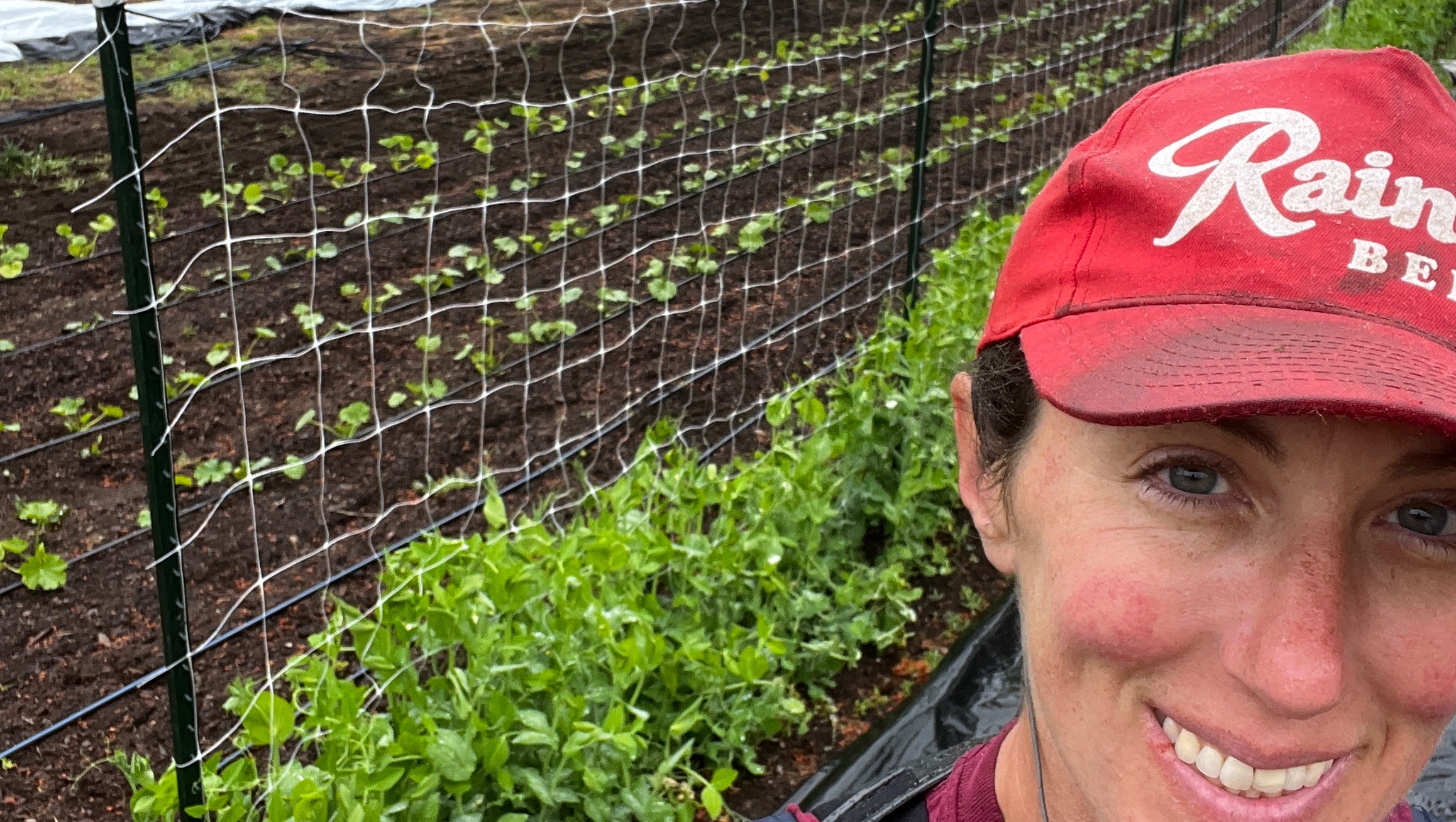 Fundraiser by Ann Gilman : Help Rolling Bounty Farm with CSA Boxes & More