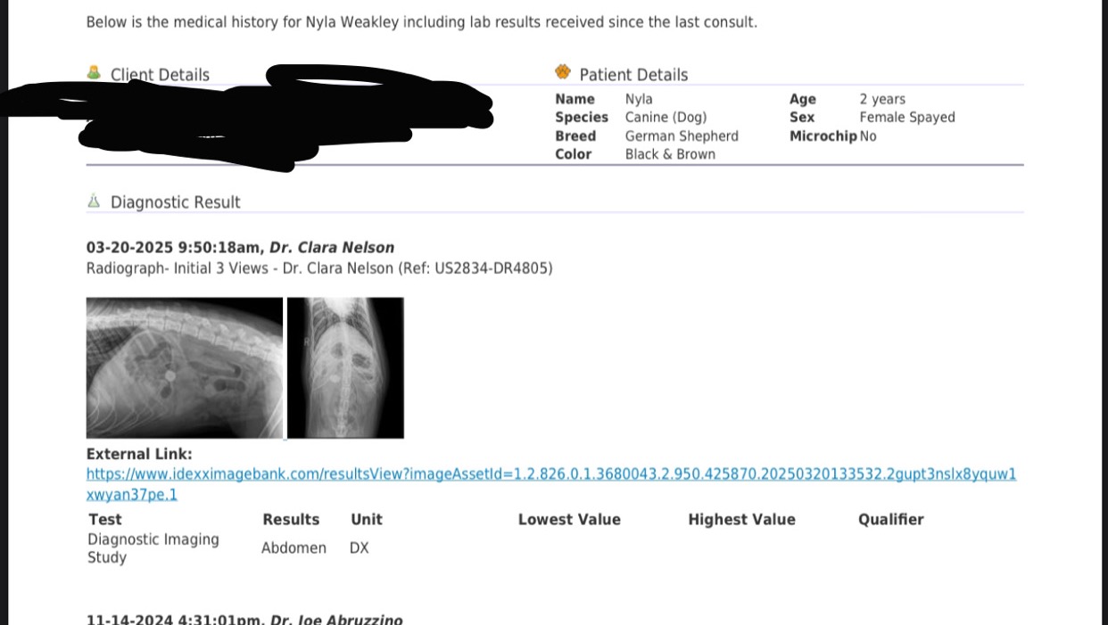 Fundraiser by Alayna M : Surgery for Nyla: Our Beloved German Shepherd