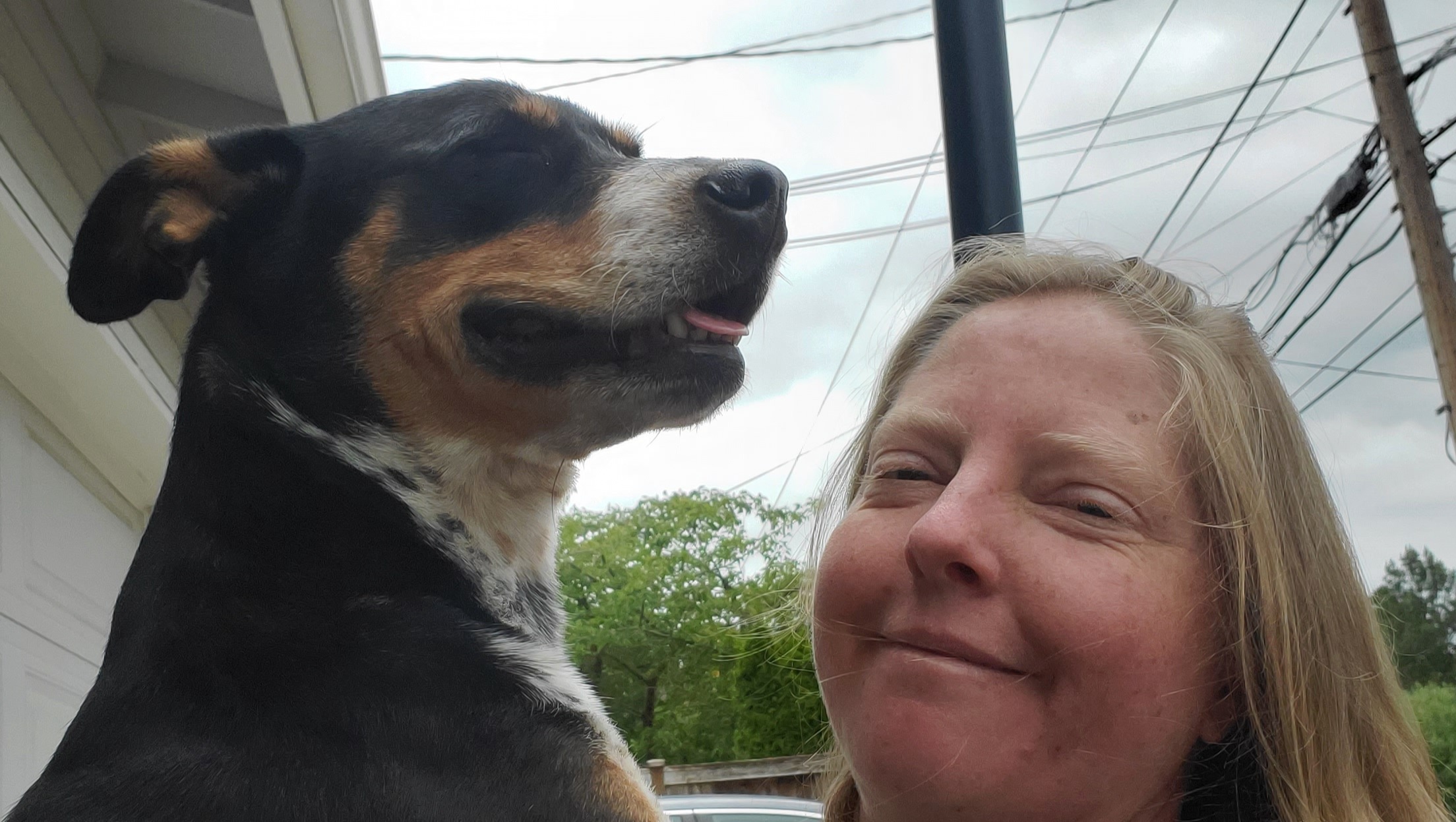 Fundraiser by Rachel Caudle : Please save the life of my life saving ...