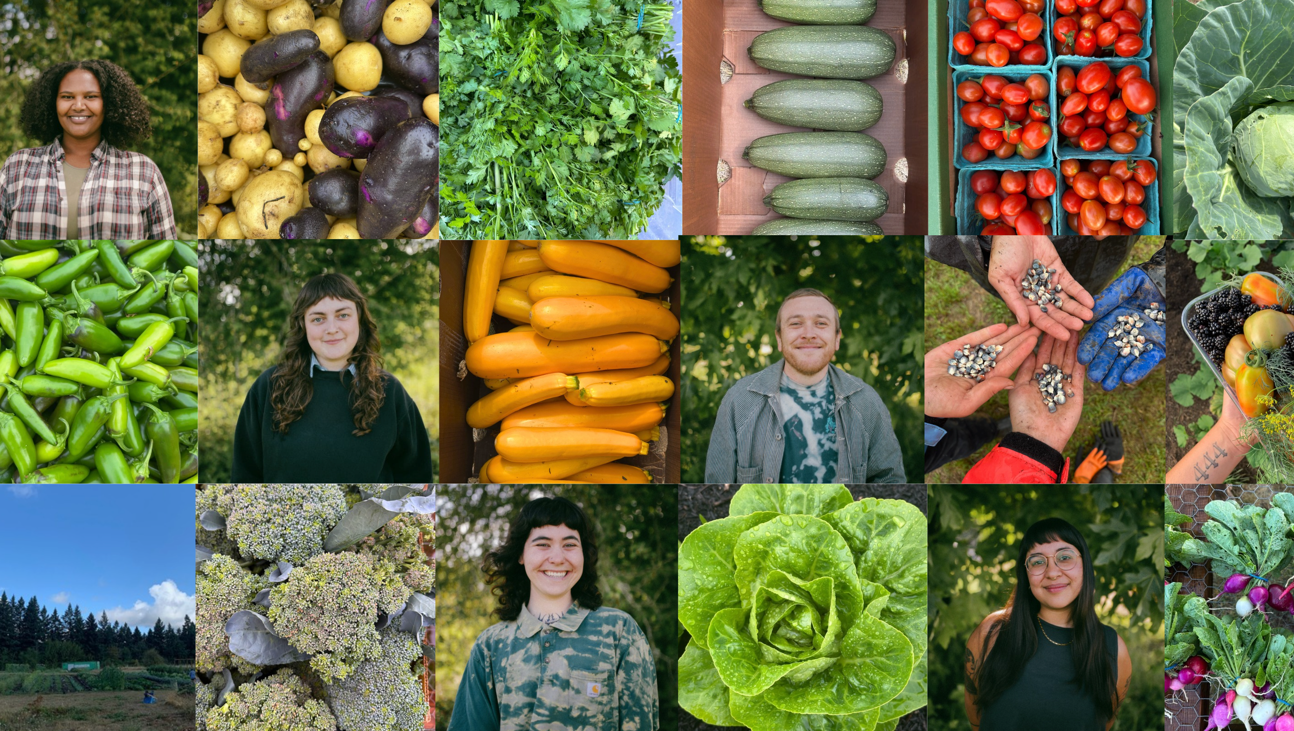 Fundraiser by Daytrip Farm Collective : Support Daytrip Farm Collective