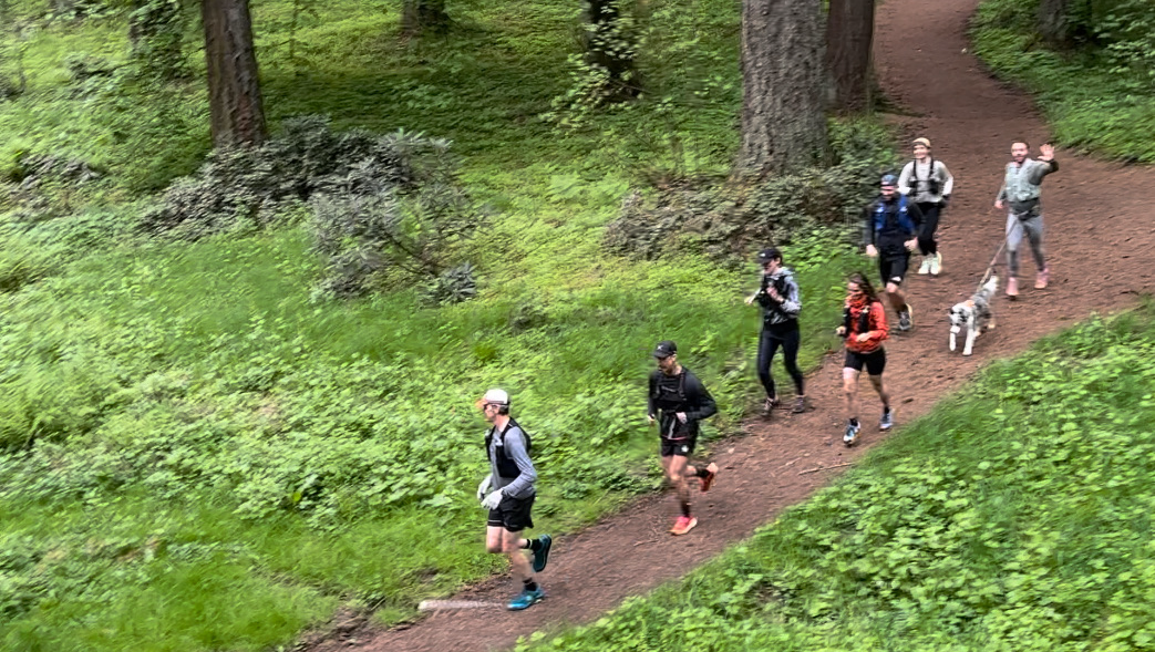 Fundraiser by Annalou Vincent : Wildwood End to End: A Tribute to Brent ...