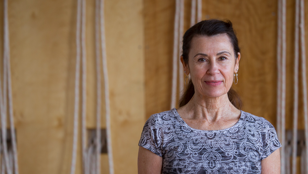 Fundraiser by Lisa Di Carlo : Honor Linda Di Carlo’s Legacy: A Campaign ...