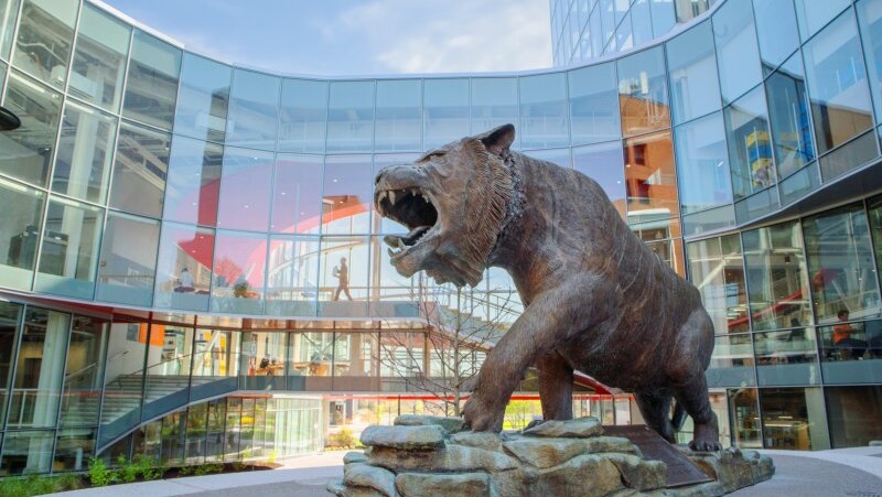 Fundraiser by Jaiden Johnson : Support Jaiden's RIT Journey