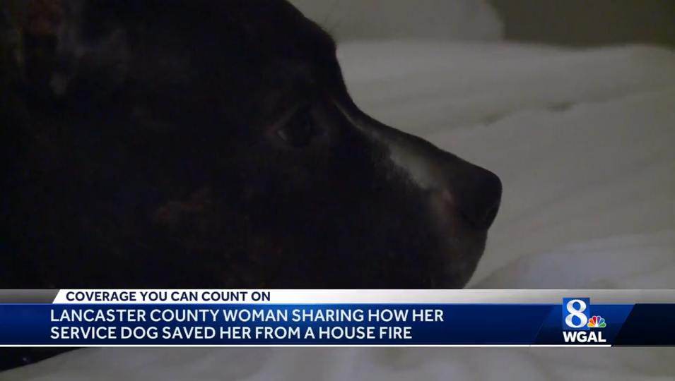 Fundraiser for Jennifer Arasin by Barry Kirsch : Help Jenn and Mona ...