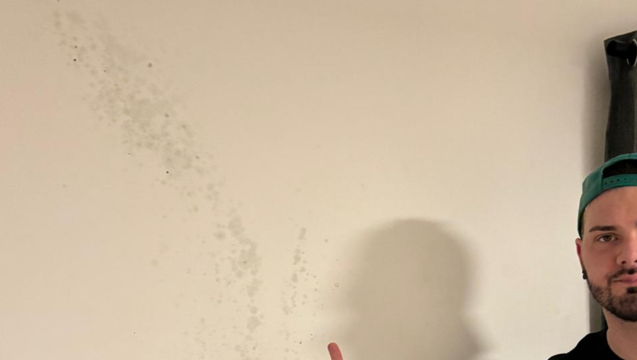 Fundraiser by Nick Steadman : We just want our lives back