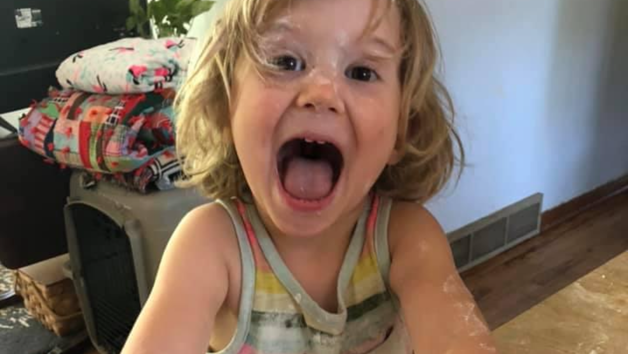 Fundraiser by Hannah Grow : Support Wildblossom's Outdoor Classroom Dream