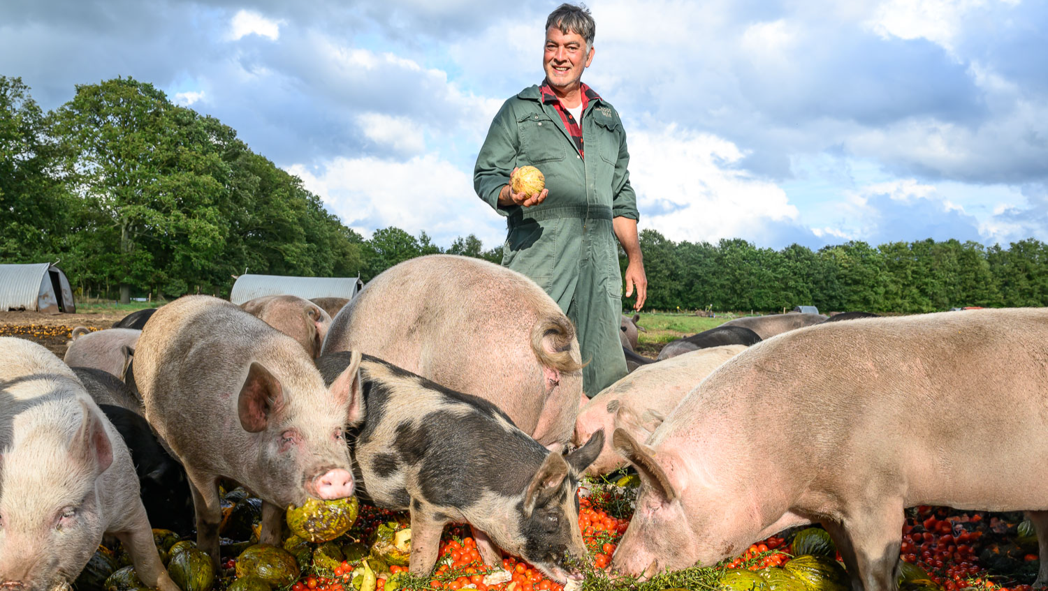 Fundraiser by Kees Scheepens : Trek varkensfluisteraar Kees en zijn ...