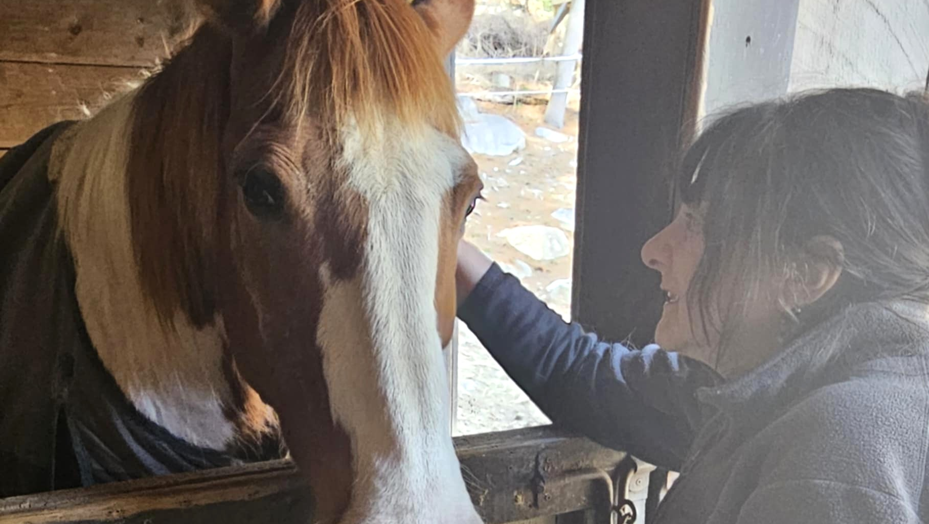 Fundraiser for David Toher by Sara Dunleavy : Help Cancer Patient Care ...