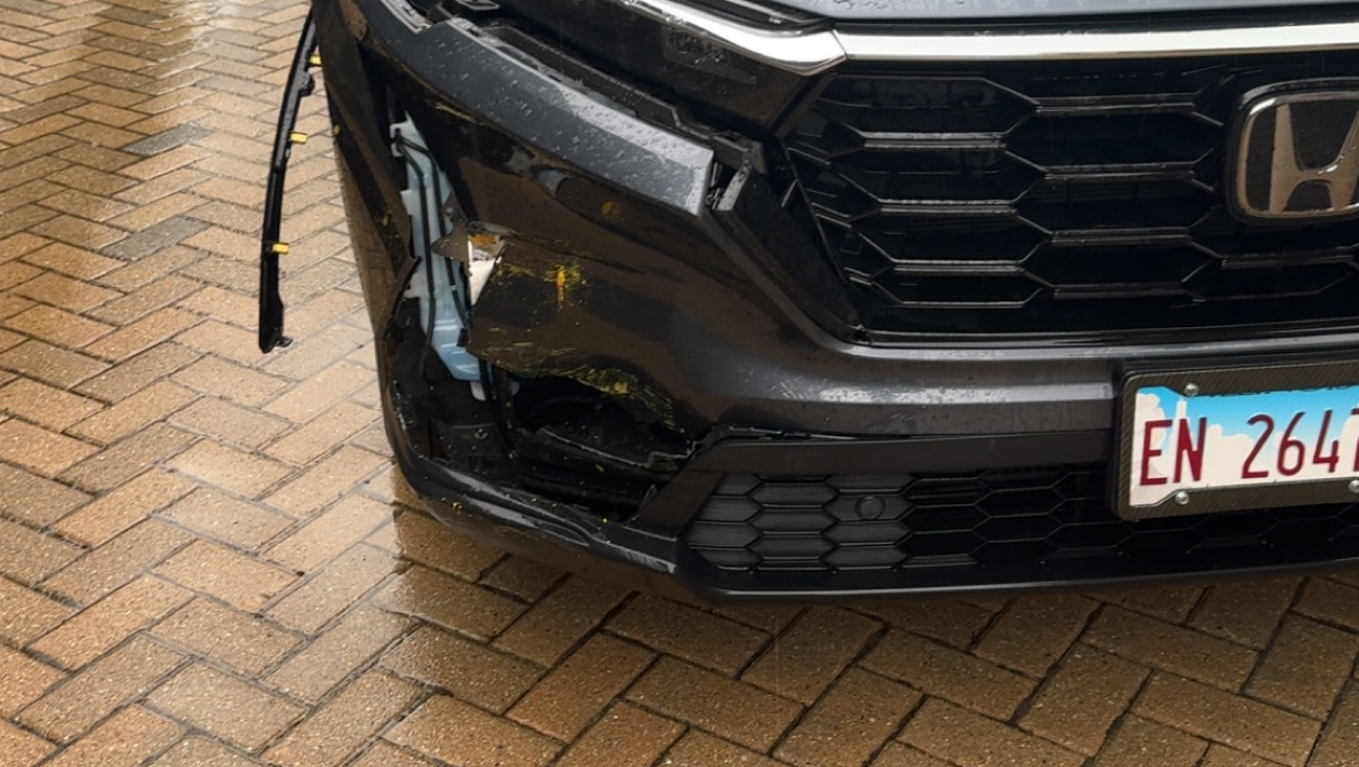 Fundraiser for Lea Enright by Jack Enright : Help Jack Fix His Car and ...