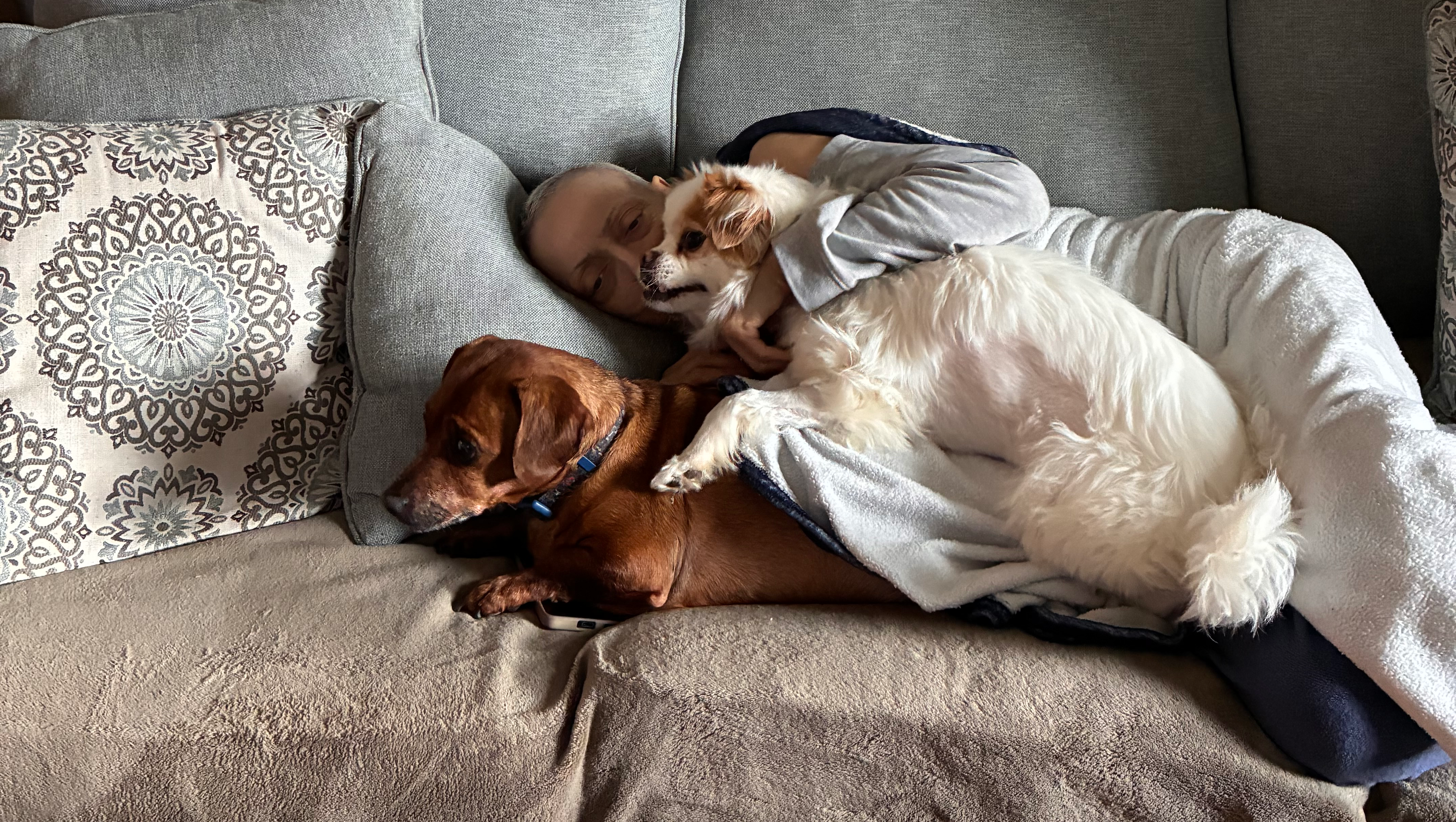 Fundraiser by Andrea Guzzone : Support Gina's Battle Against Cancer