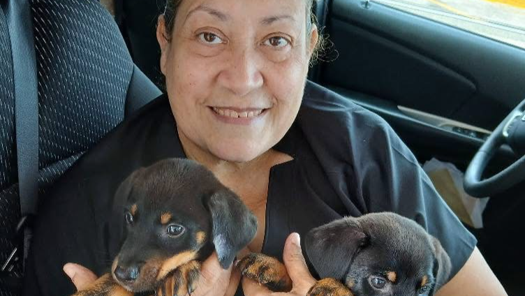 Fundraiser by Kim Mniece : Support Sarah Pagan's Legacy and Dogs