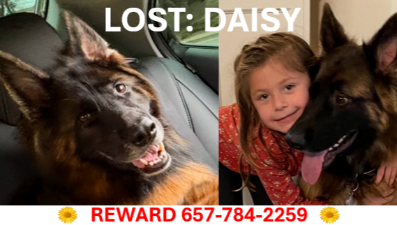 Fundraiser for Jessica Pinedo by Traci Renner : Help Bring Daisy Home ...