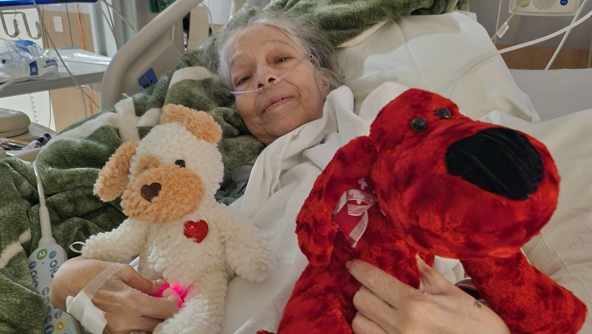 Fundraiser by Danielle Roybal : In loving memory of Telfie