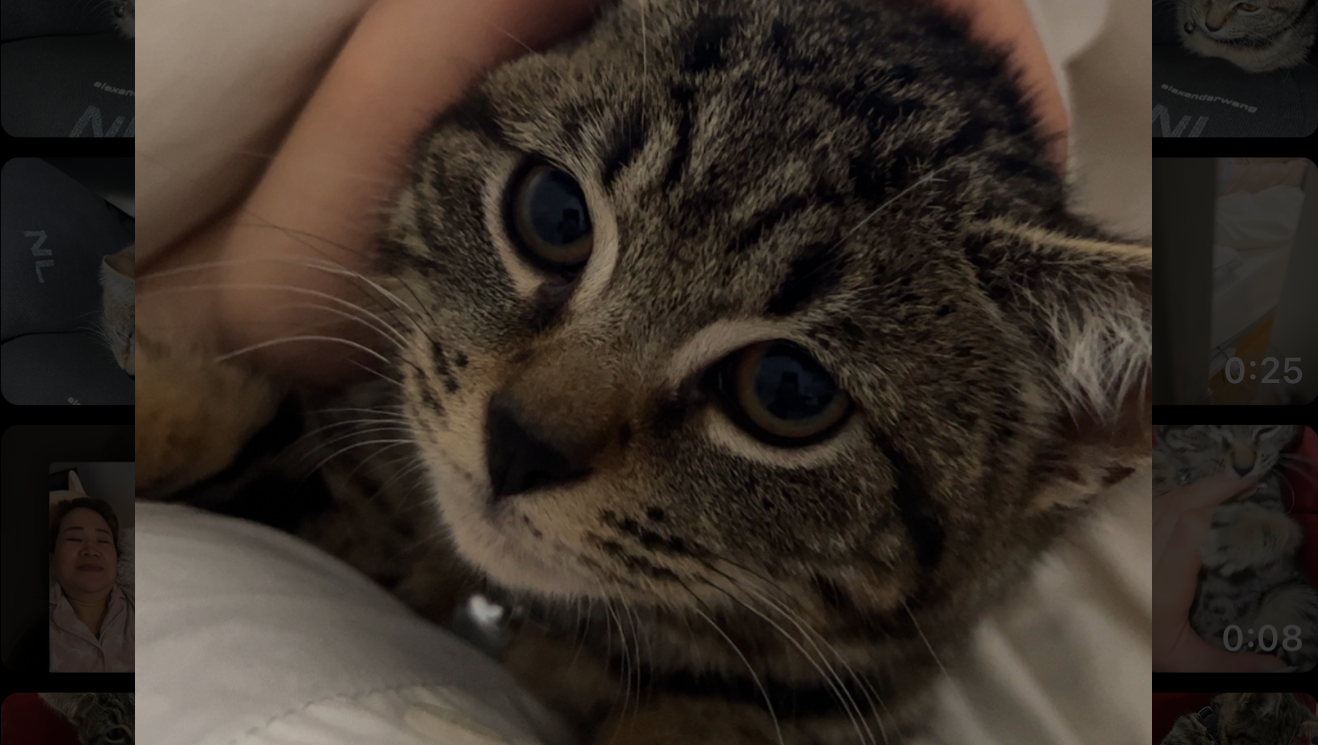 Fundraiser by Nina lin : HELP SAVE HENNY LIFE OR DEATH SURGERY