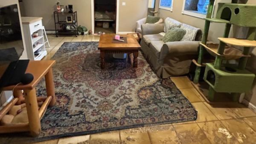 Fundraiser by Sarah Faichney : Support Needed After Sewage Flood Ruins Apt