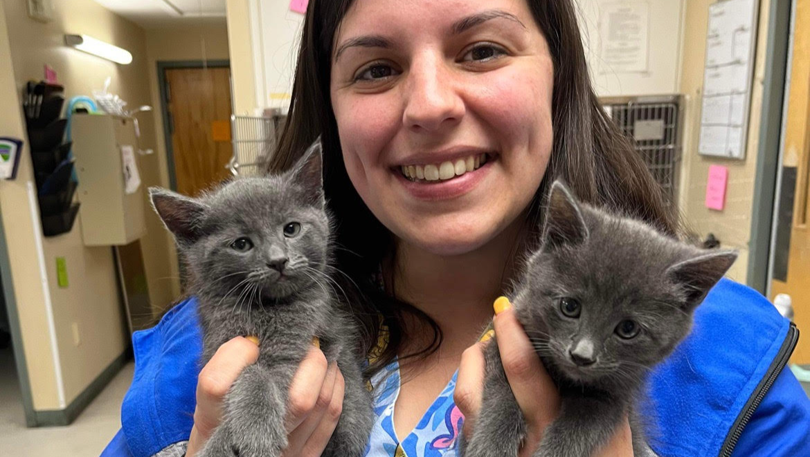 Fundraiser for Michael Britten by Valley Vet : The Britten Family in Need