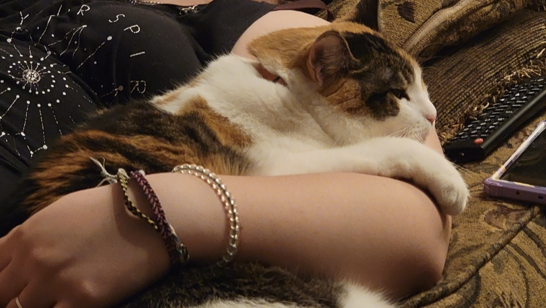 Fundraiser by Jessica Spragg : Help support Hollie's diagnosis and recovery